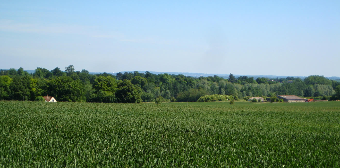 Agricultural Property - Lockinge Estate